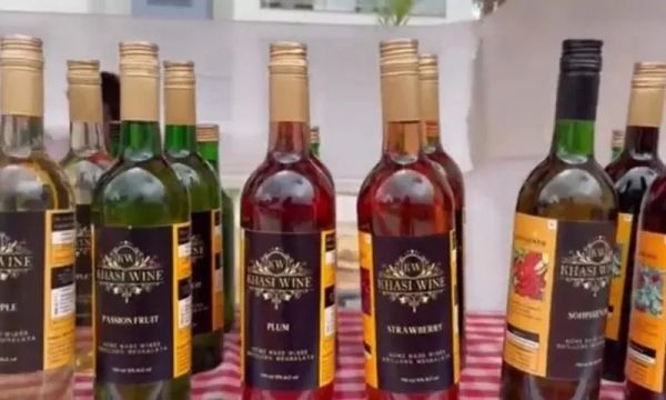 Meghalaya Fruit Wine VAT Exemption Extended to 10 Years - India Podcast